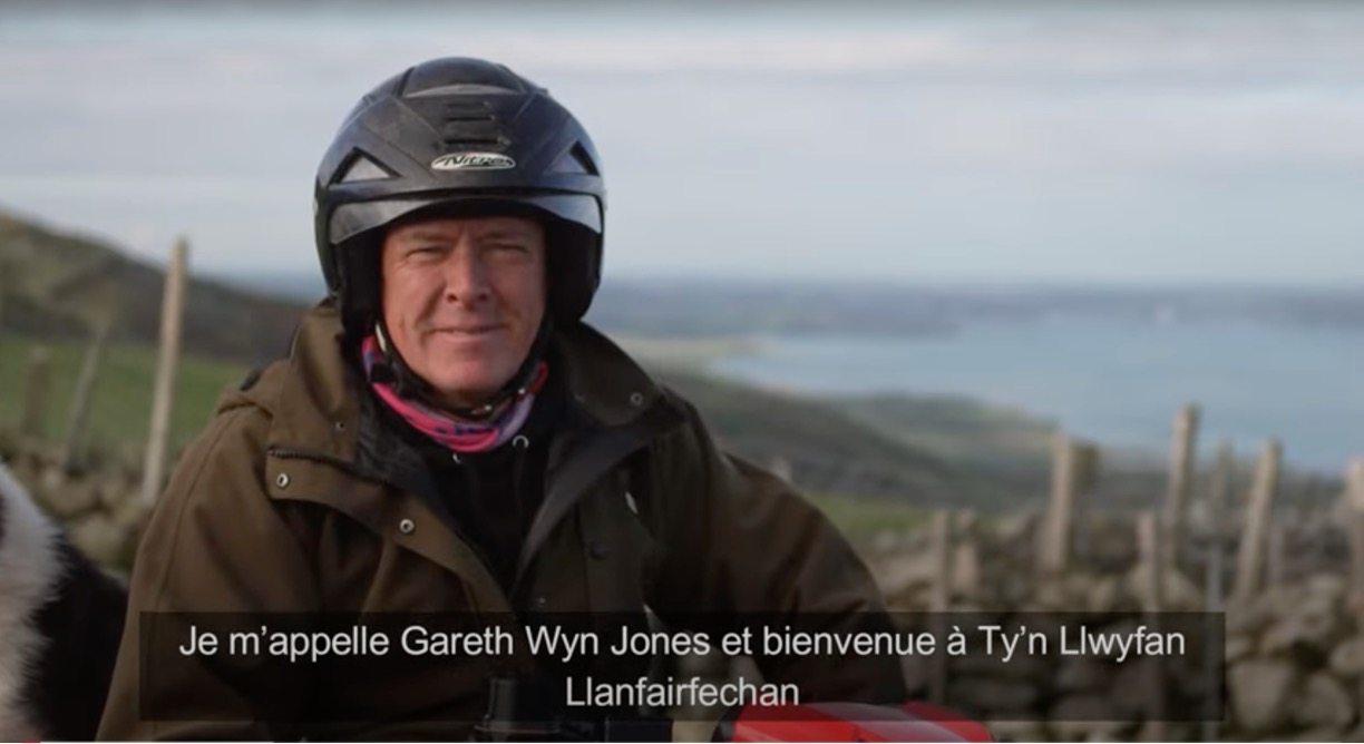 Eleveurs Gallois - Gareth Wyn Jones - France