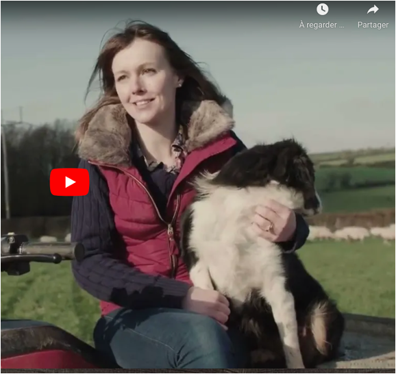 Meinir Howells - Eleveurs Gallois - France